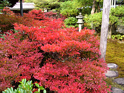 The moon and the sun